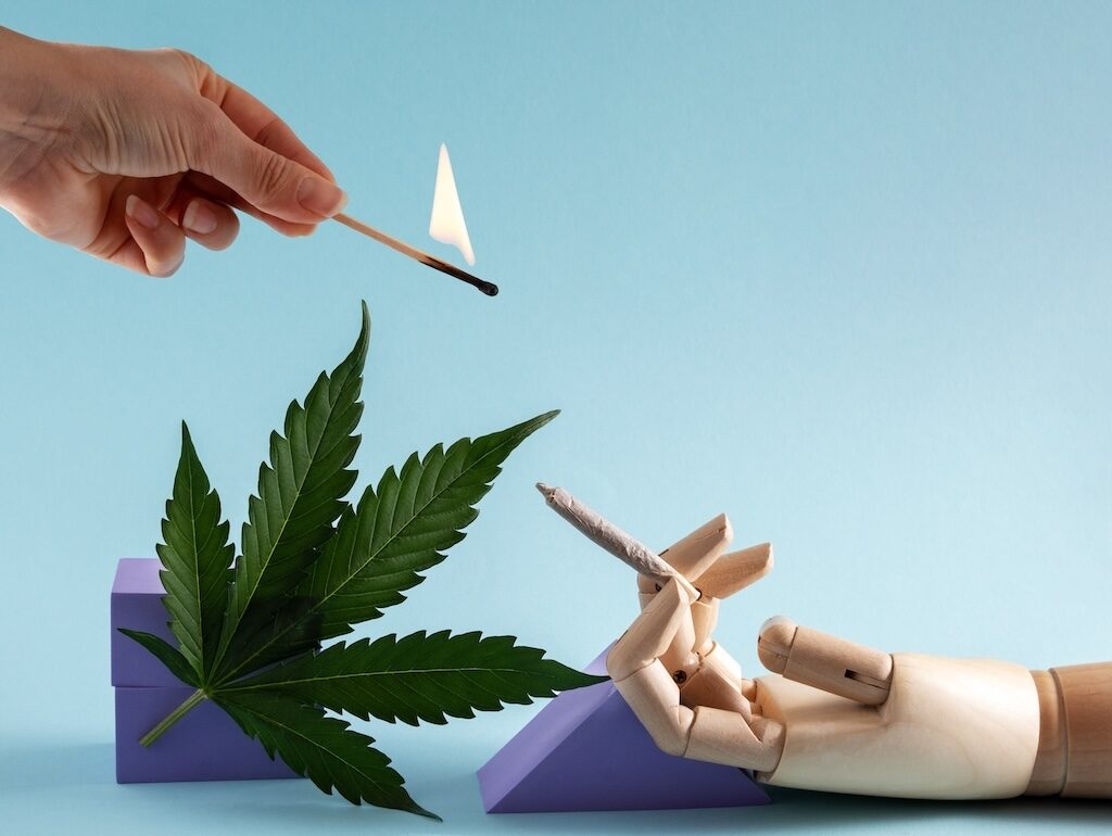 Understanding the Impact of Cannabis on The Brain